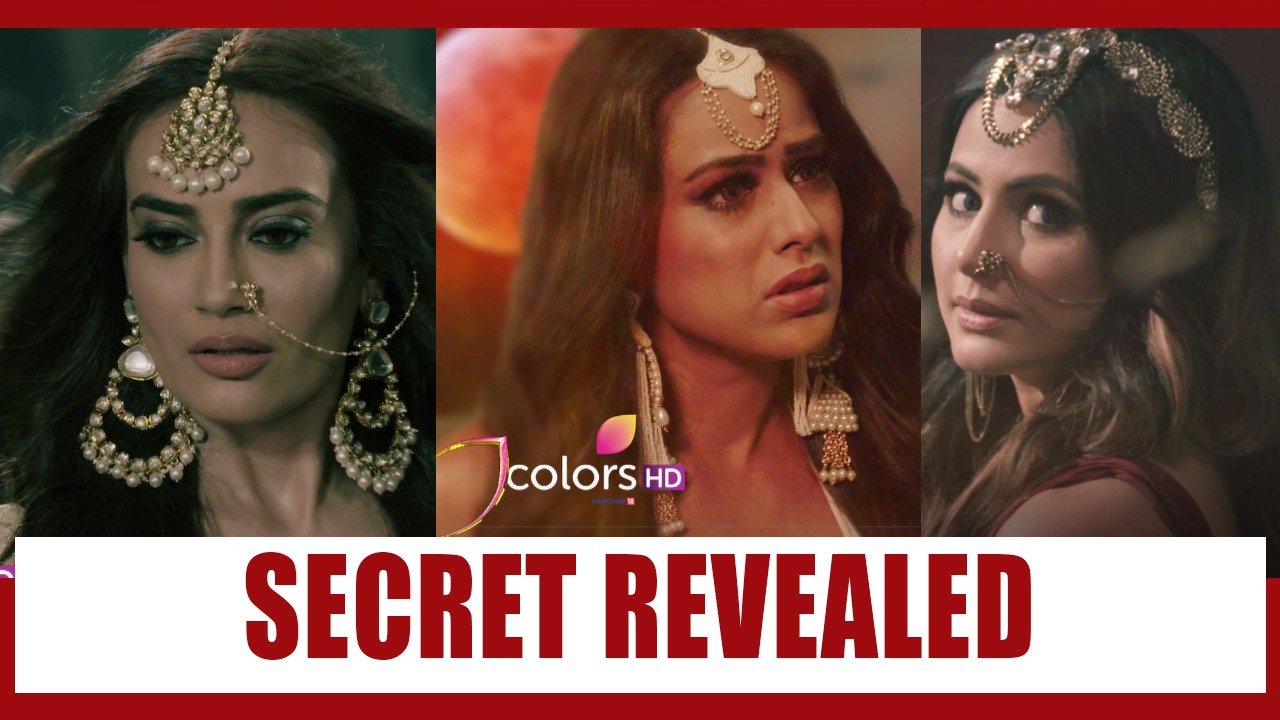Naagin 5 Spoiler Alert: Sarvashrestha Naagin to REVEAL the secret ...