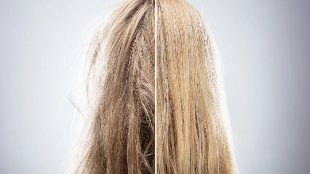 What Are The Ways To Protect Your Hair From Pollution, Find Out Here