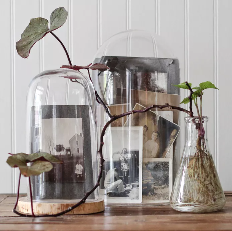 5 Ideas To Showcase Vintage Collection In Sophisticated Ways, Check Out