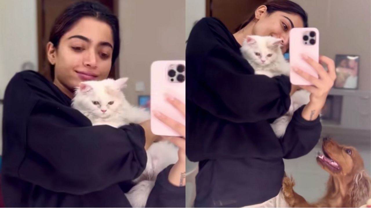Too Cute To Handle: Rashmika Mandanna showers love on pet dog and cat ...