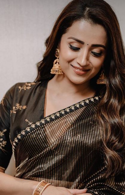 South Star Trisha Looks The Stylish Diva In Her Amazing Saree Collection