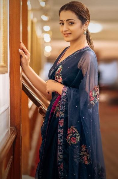 South Star Trisha Looks The Stylish Diva In Her Amazing Saree Collection
